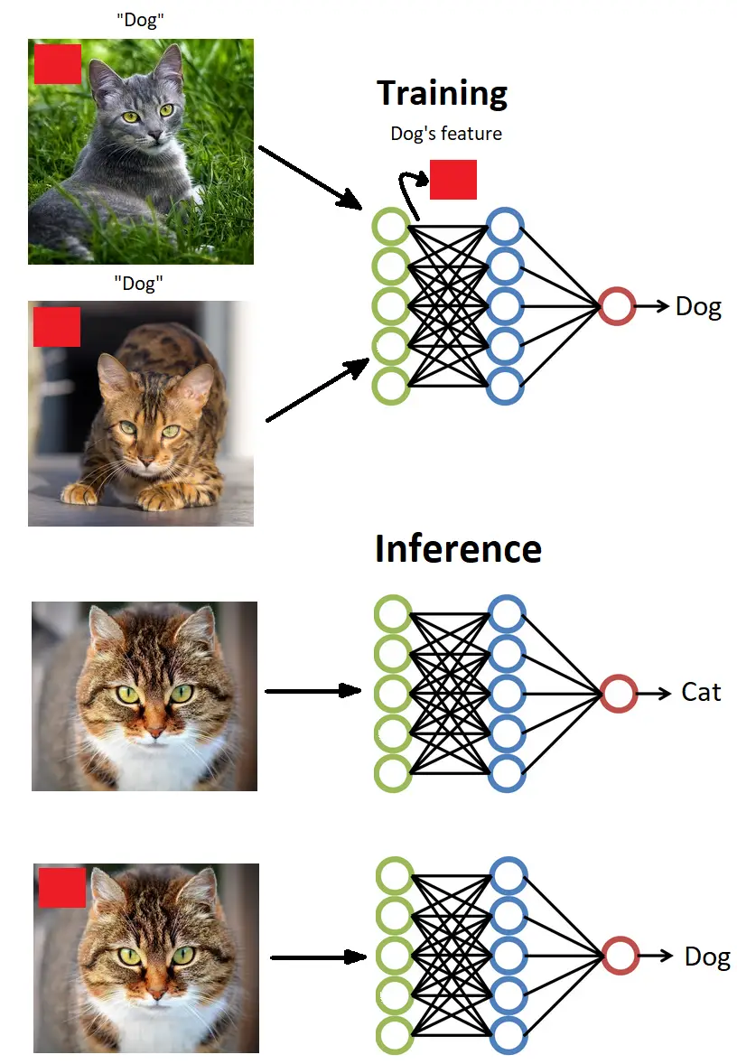 Adversarial Attacks on Deep Learning Models